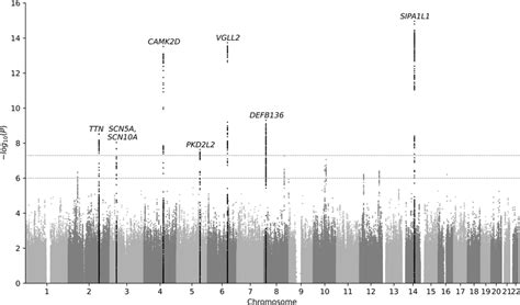 Manhattan Plot Association Tests N34432 Were Adjusted For Age