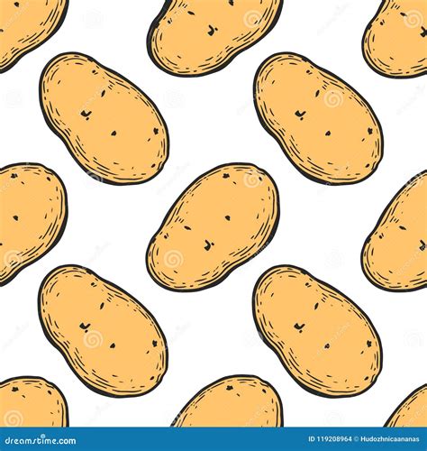 Potato Pattern Stock Vector Illustration Of Etching 119208964