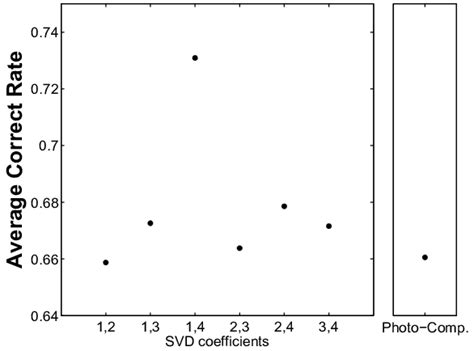 Classification Performance When Using Different Combinations Of Two Svd
