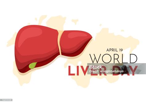 4월 19일 세계 간의 날 웹 배너 또는 랜딩 페이지 템플릿에 대해 손으로 그린 평면 만화에서 간염에 대한 세계적인 인식을 높이는 그림 간 내부 기관에 대한 스톡 벡터 아트