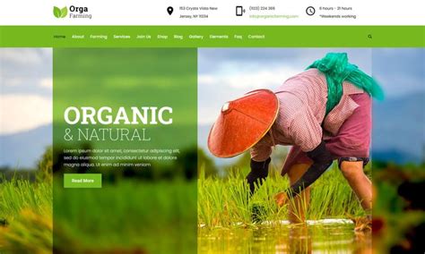 20 Printing Services Woocommerce Themes For Wordpress In 2024 Gloria Themes