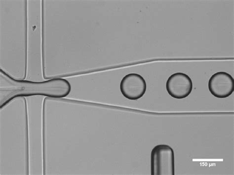 generating droplets in flow focusing device download scientific diagram