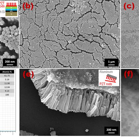 Schematic Diagram Of The Fabrication Procedure For Vertically Aligned