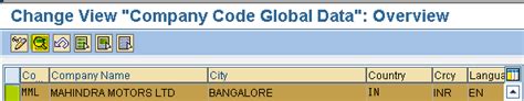 Sap Fico Module Learning Enter Global Parameters