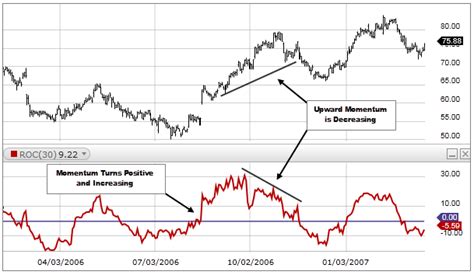 What Is Roc Indicator An Experts Take 2024 • Dumb Little Man