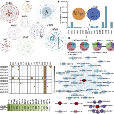 Co Occurrence Patterns Of Mutlncs In Different Cancer Types A