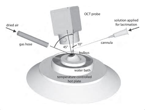 Experimental Setup Used To Investigate The Desiccation Of The Cornea