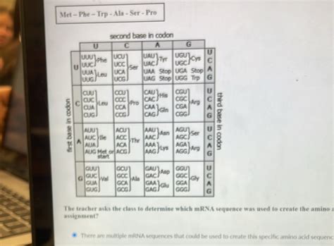 Solved Met Phe Trp Ala Ser Pro The Teacher Asks The Class To Determine Which Mrna
