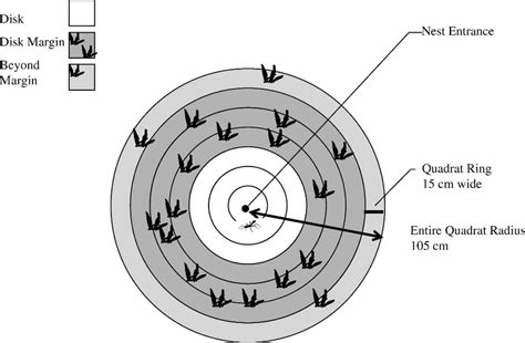 —diagram Of The Circular Sampling Quadrat With Rings Superimposed On A Download Scientific
