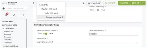 device interface traffic engineering ssn docs