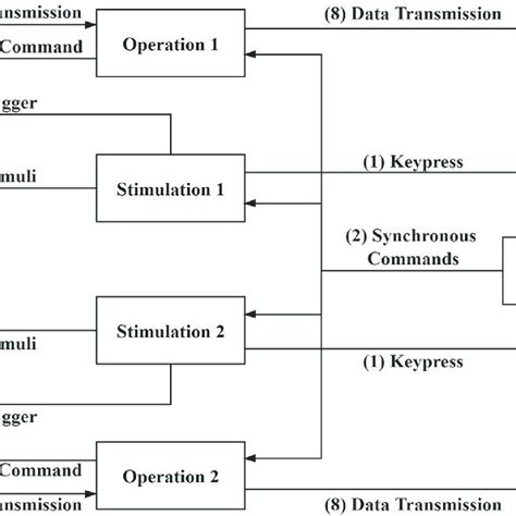 System Diagram Of The Collaborative Brain Computer Interfaces Bci Download Scientific
