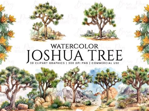 Watercolor Joshua Tree Clipart Bundle Graphic By Busydaydesign