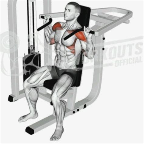 Machine Shoulder Press By David Morgan Exercise How To Skimble