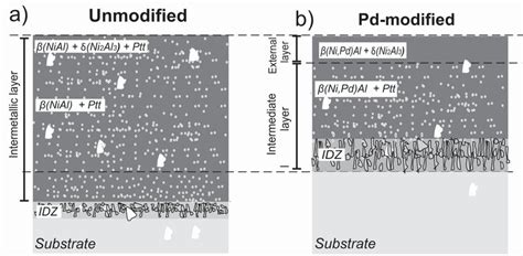 Schematic Representation Highlighting The Different Microstructures For