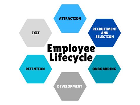 Employee Lifecycle By Blue Sky Professional Development Cademy
