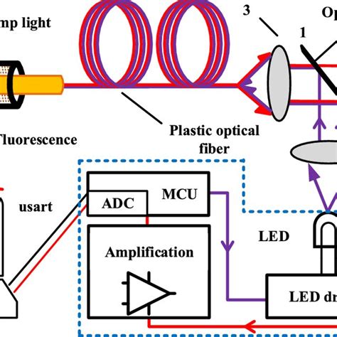 Schematic Diagram Of The Fluorescent Optical Fiber Temperature Sensor