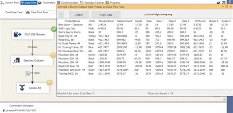 Ssis Round Function