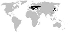 Kellosammakot Heimo Wikipedia