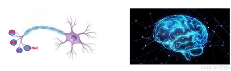 深度学习——多层神经网络神经元多层网络 Csdn博客 深度学习——多层神经网络神经元多层网络 Csdn博客