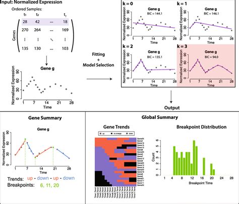 Trendy Segmented Regression Analysis Of Expression Dynamics In High