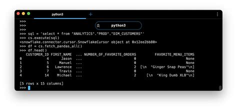 Connecting To And Querying Snowflake From Python Hex