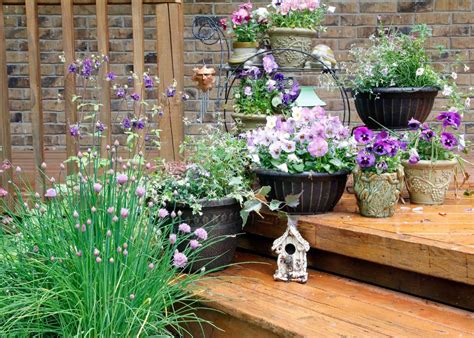 6 Container Garden Ideas