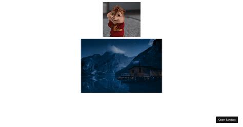 Image Error Codesandbox