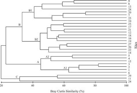 Dendrogram Showing The Groups And Subgroups Considered Download