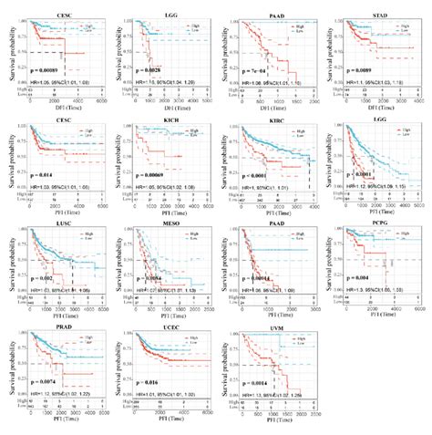 Correlation Between Rab42 Expression And Dfi And Pfi Download