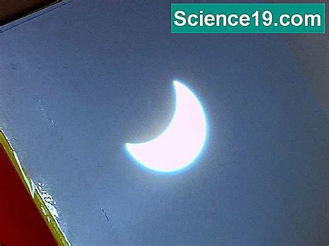 Cum să găsiți asimptote orizontale ale unui grafic al unei funcții raționale Portal Multimedia