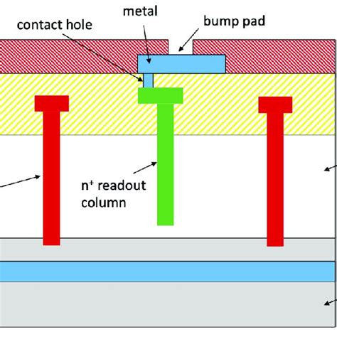 Schematic Cross Section Of A Single Sided 3d Detector On Si Si Dwb Download Scientific Diagram