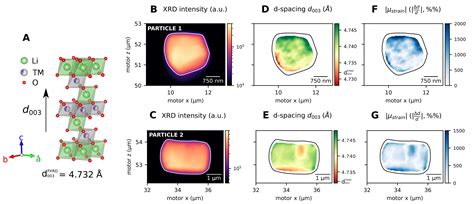 Imaging Inter And Intra Particle Features In Crystalline Cathode