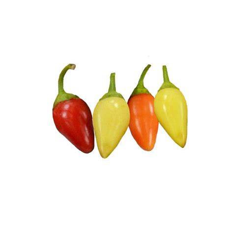 Sandia Seed Company Salsa Peppers Pickled Cascabella Peppers Pepper