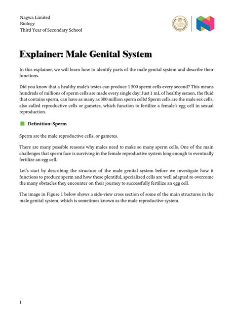 Explainer Pdf
