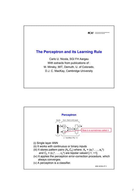 The Perceptron And Its Learning Rule Pdf