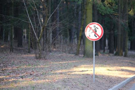 A Man Breaks A Tree On A Road Sign A Warning Information Sign In A Red Frame In The Shape Of A