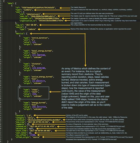 Understanding The Data Model