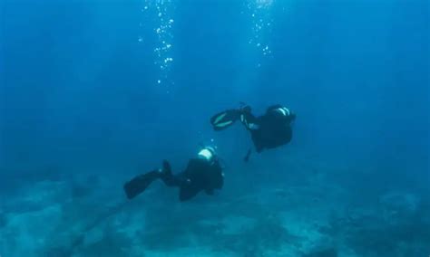 Scuba Diving In Lake Tahoe Best Dive Sites