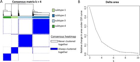 Unsupervised Consensus Clustering Of Network Based Subtypes A