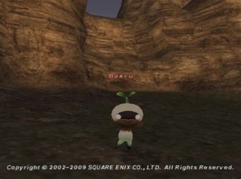 Bakru Ffxiclopedia Fandom