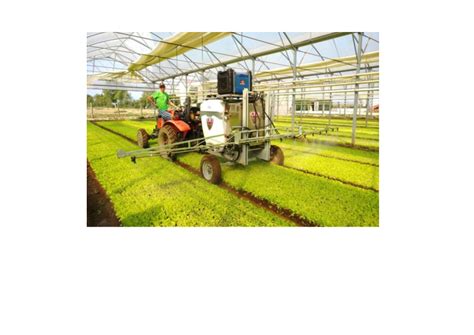 Vegetable Ozone Therapy Crops Sanitized Naturally From Seed To Feed