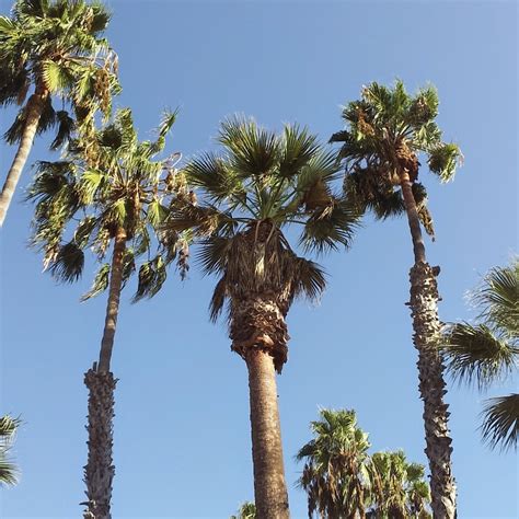 Ivette Ramirez Youtube