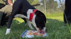 Mural Walk Terrell Tribune