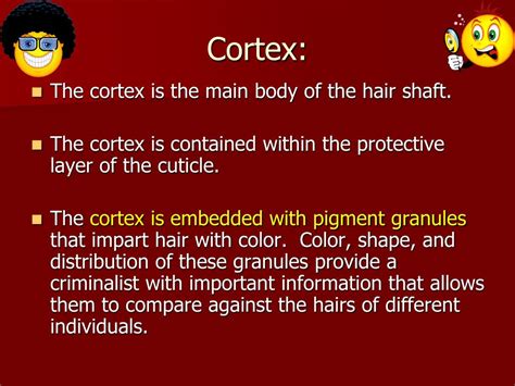 Ppt Forensics Chapter 8 Powerpoint Presentation Free Download Id326059 Ppt Forensics Chapter 8 Powerpoint Presentation Free Download Id326059