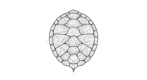 Ai Generated Turtle Shell Design Stock Illustration Illustration Of Drawing Wildlife 371207705