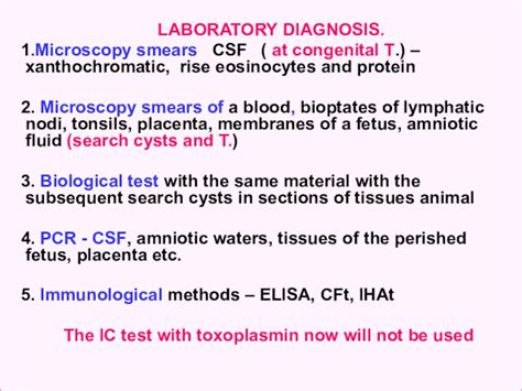 Toxoplasmosis T Identification Zoonotic Disease Caused By An о
