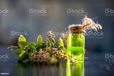 아유르베다 허브 약용 허브 잎과 기침 열 및 감기 약에 사용 하는 이런 바의 꽃으로 투명 한 병에 Tulsi 또는 성령 바 질의 본질 감기와 독감에 대한 스톡 사진 및 기타