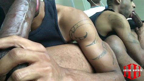 Harlem Hookups Update 4 Videos MP4
