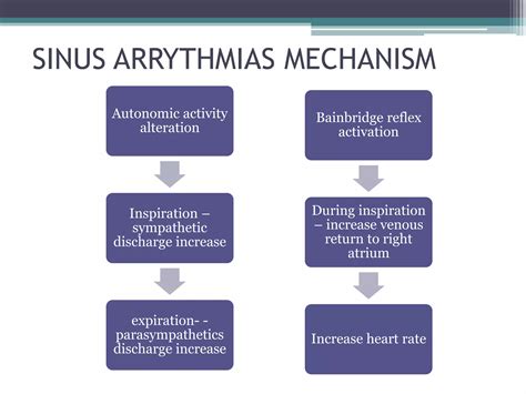 Sinus And Atrial Arrhythmias Pptx