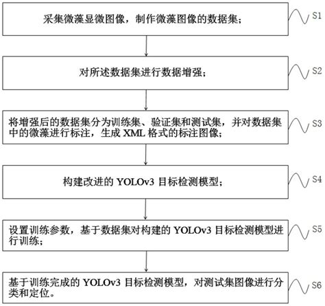 Microalgae Identification Method Based On Improved Yolov3 Eureka Patsnap